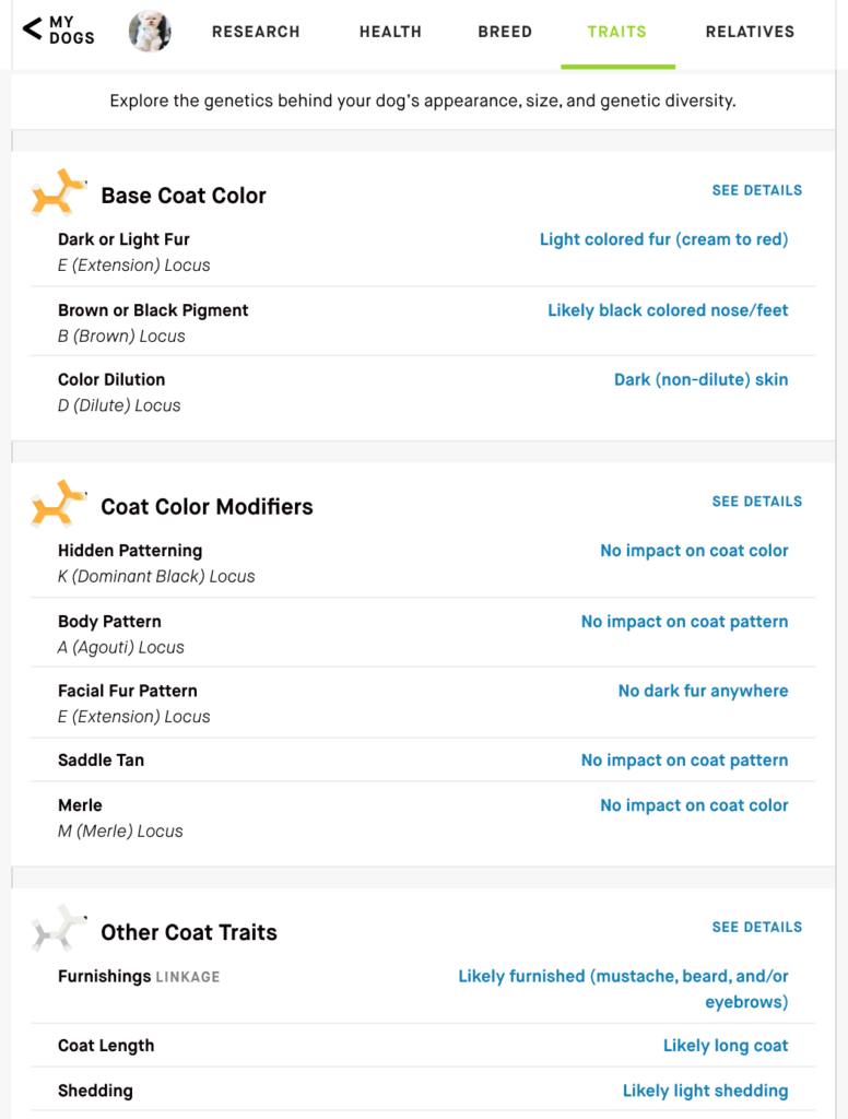Embark Dog DNA Test Review & Results | Dog Insider
